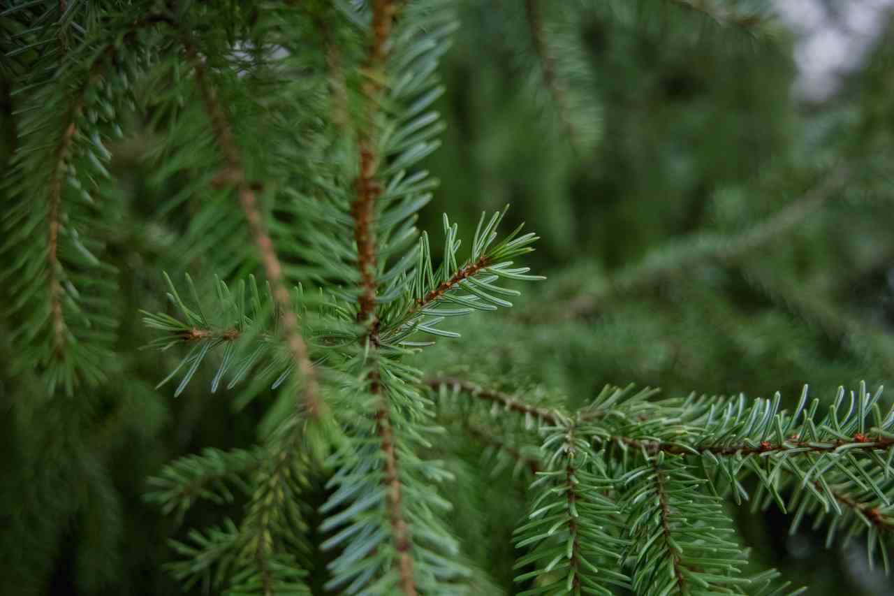 Bellybutton: Deep Learning for Advanced Image Segmentation in Mechanics - Breaking News