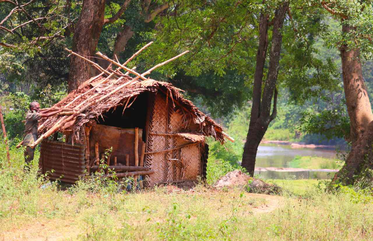 How to Build an Emergency Shelter - Breaking News